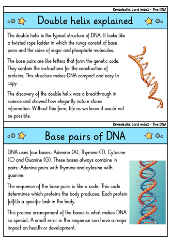 DNA - Flashcards | Biology | Structure, Function & Genetic Information ...