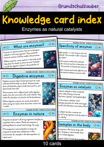 Enzymes - Flashcards | Biology | Function, Structure & Role in ...