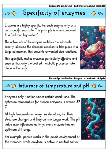 Enzymes - Flashcards | Biology | Function, Structure & Role in ...
