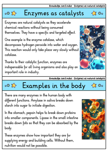 Enzymes - Flashcards | Biology | Function, Structure & Role in ...
