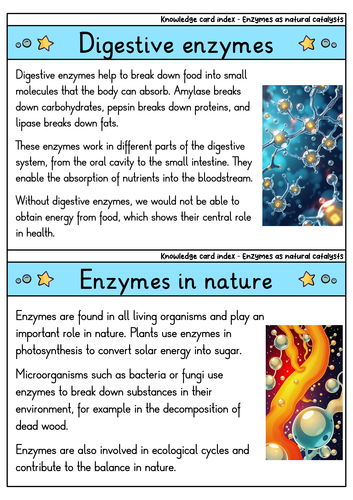 Enzymes - Flashcards | Biology | Function, Structure & Role in ...