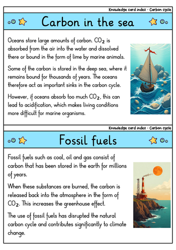 Carbon Cycle - Flashcards | Biology | Processes, Importance ...