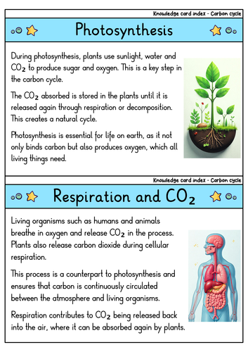 Carbon Cycle - Flashcards | Biology | Processes, Importance ...