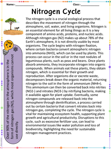 Explore the Nitrogen Cycle: Engaging Reading Passage with Thought ...