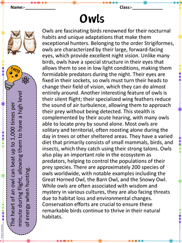 Engaging Reading Passage and Quiz on Fascinating Owls | Teaching Resources