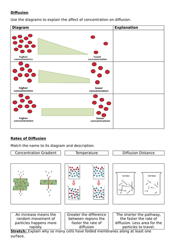 B1.5 Diffusion | Teaching Resources