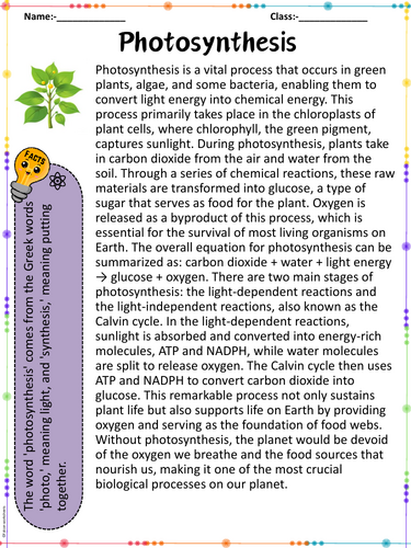 Explore Photosynthesis: Reading Passage with Engaging Questions ...