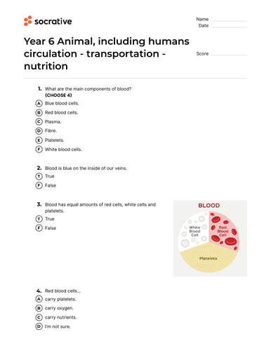 UKS2 Animals including humans unit of work | Teaching Resources