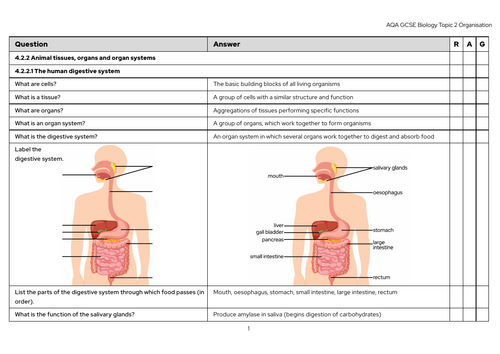 AQA GCSE Biology Revision Questions and Answers: Triple & Combined ...