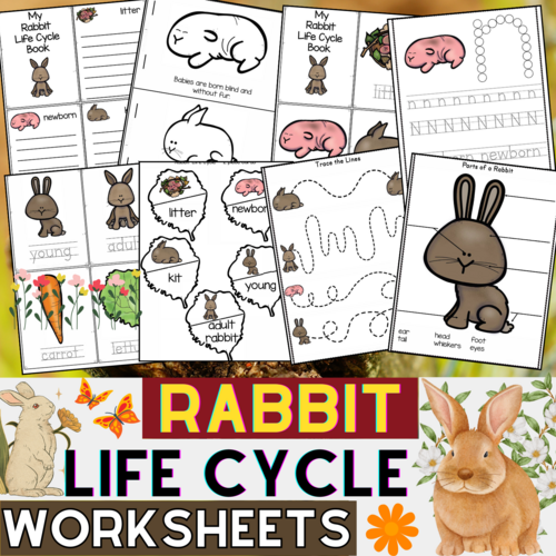 Rabbit Life Cycle Worksheets | All About Bunnies Writing Activities ...