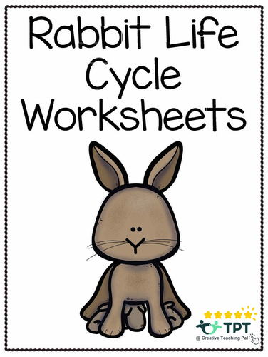 Rabbit Life Cycle Worksheets | All About Bunnies Writing Activities ...
