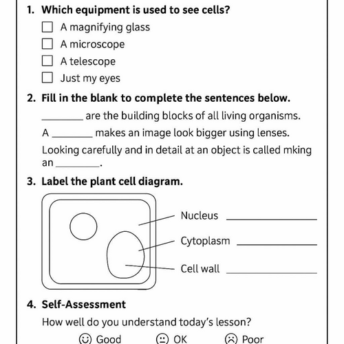 KS3 Science – Observing Cells (Lesson 1 PPT + Worksheet) | Aligned with ...