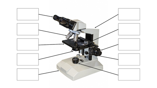 KS3 Light Microscopes | Teaching Resources