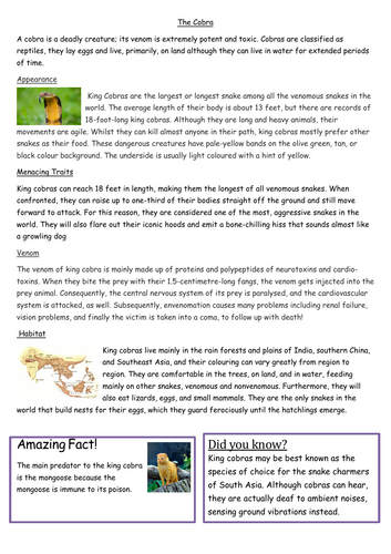 Year 6 SATs Style Test 3 Texts with Questions and Mark Scheme ...