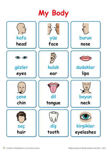 ESL ELL Newcomers Bilingual English-Turkish Flashcard Set 45 Pages ...