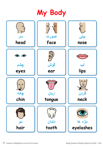 ESL ELL Newcomers Bilingual English-Persian Flashcard Set 45 Pages ...