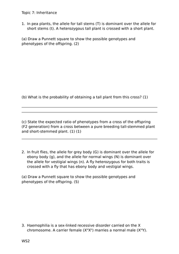 Topic 7: Revision Genetics, populations, evolution and ecosystems ...