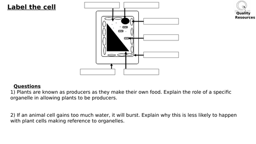 Plant Cells – Complete KS3 Lesson with 10 Differentiated Worksheets ...