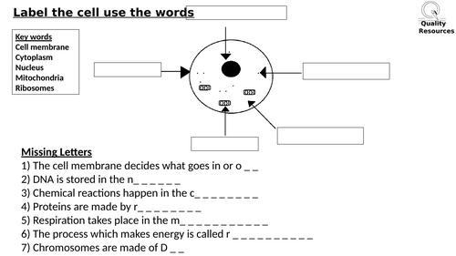 KS3 Animal Cells - Scaffolded Worksheets for Low Attainers and SEN ...