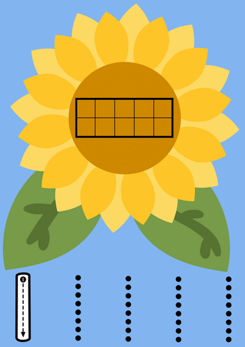 Sunflower | Teaching Resources
