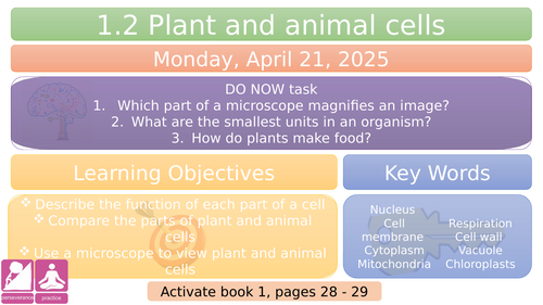 KS3 Science – Plant and Animal Cells (Lesson 1 PPT + Worksheet ...