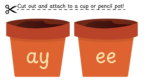 Digraph Matching Flowers - Phonics Activity | Teaching Resources