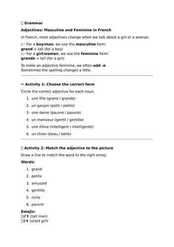 Describing people using masculine and feminine adjectives | Teaching ...