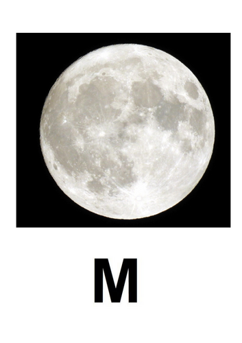 Romeo and Juliet Scavenger Hunt | Teaching Resources