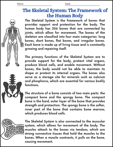 Human Body Systems | Skeletal System | Reading Comprehension | Teaching ...