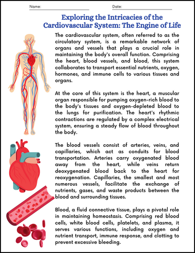 Human Body Systems | Cardiovascular System | Reading Comprehension ...