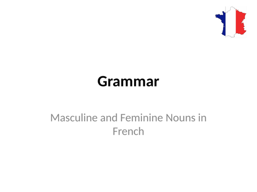 Masculine and Feminine Nouns | Teaching Resources