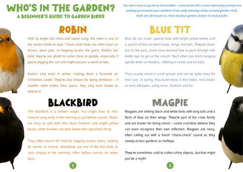 KS2 Free Non-Fiction Reading Pack – 6 Original Texts (No Tests or Mark ...