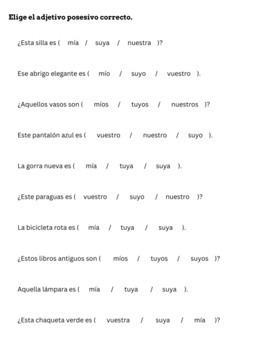 stressed possessive adjectives in spanish worksheet with answer key ...