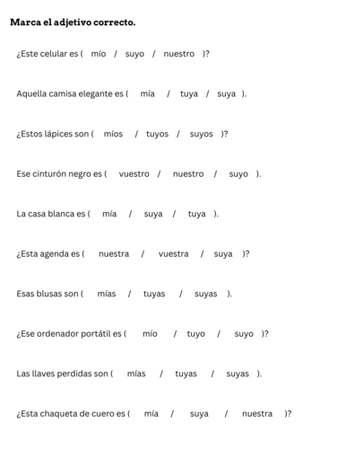 stressed possessive adjectives in spanish worksheet with answer key ...