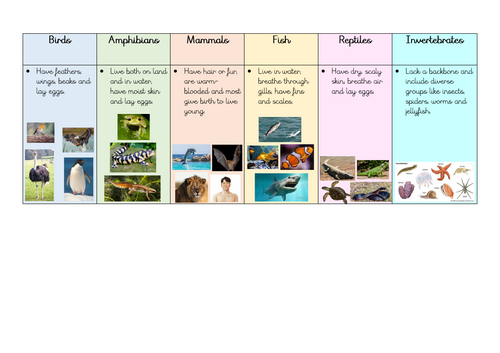 Science Classification KS2 - Animal Groups Identification Sheet ...