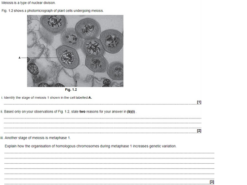 OCR A-level biology 2.1.6 Whole topic- Cell division, cell diversity ...