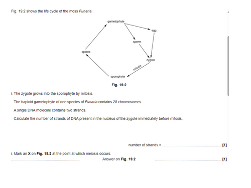 OCR A-level biology 2.1.6 Whole topic- Cell division, cell diversity ...