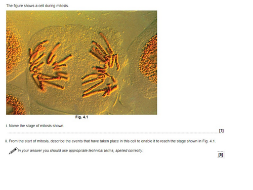 OCR A-level biology 2.1.6 Whole topic- Cell division, cell diversity ...