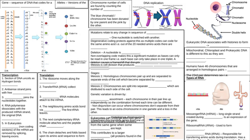 A level Biology Genetics, Variation and Interdependence Revision Poster ...