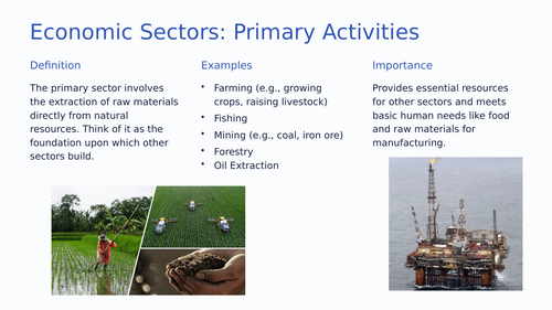 Classification of Business and Economic Sectors | Teaching Resources
