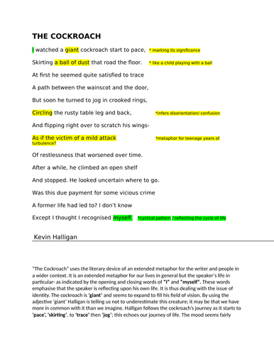 Level 9 poetry analysis iGCSE English Literature "The Cockroach ...