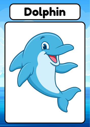 Aquatic Animals Flashcards – Real Pictures | Teaching Resources