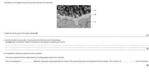 OCR A-level biology 5.1.4 Hormonal communication Whole topic | Teaching ...