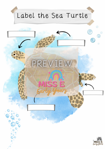 Label the Sea Turtle | Teaching Resources