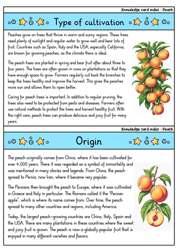 Peach | Biology | Fuzzy Stone Fruit & Sweet Summer Favorite | Teaching ...