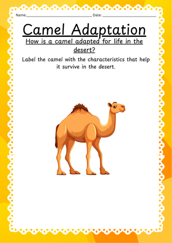Animal Adaptation Worksheet KS1 | Teaching Resources