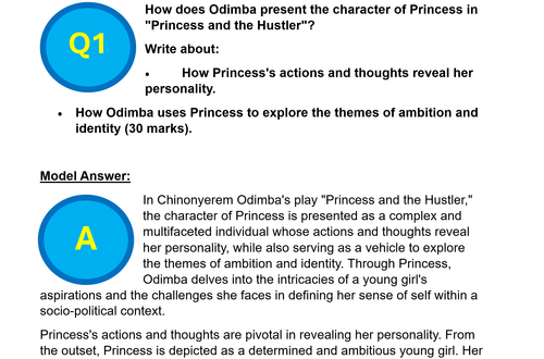 AQA GCSE English Literature - Princess and the Hustler - 6 Practice ...