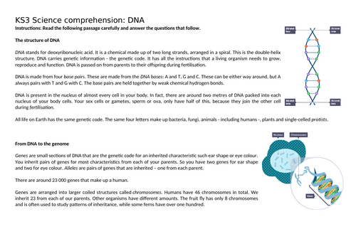 Year 8 Biology - Comprehension Bundle | Teaching Resources
