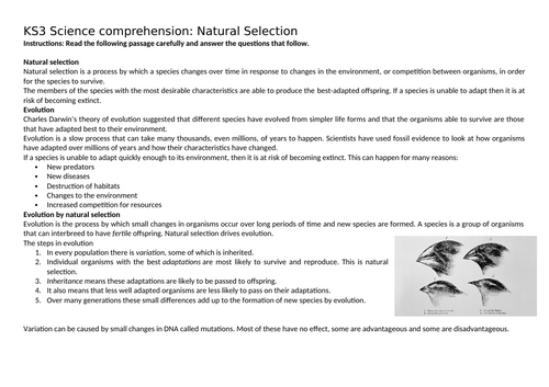 Year 8 Biology - Comprehension Bundle | Teaching Resources