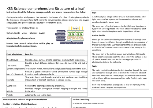Year 8 Biology - Comprehension Bundle | Teaching Resources